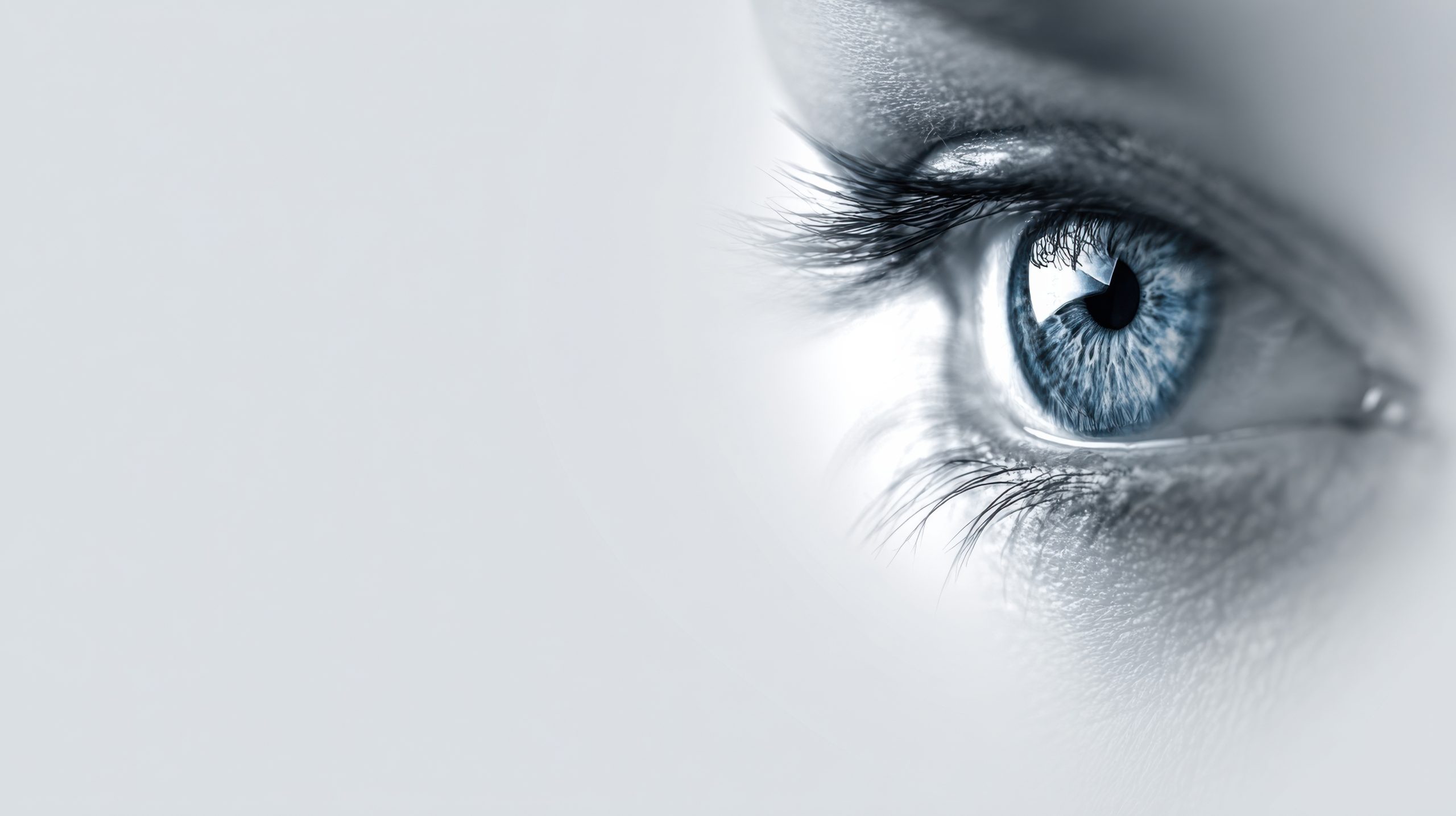 About Us - Insight Media